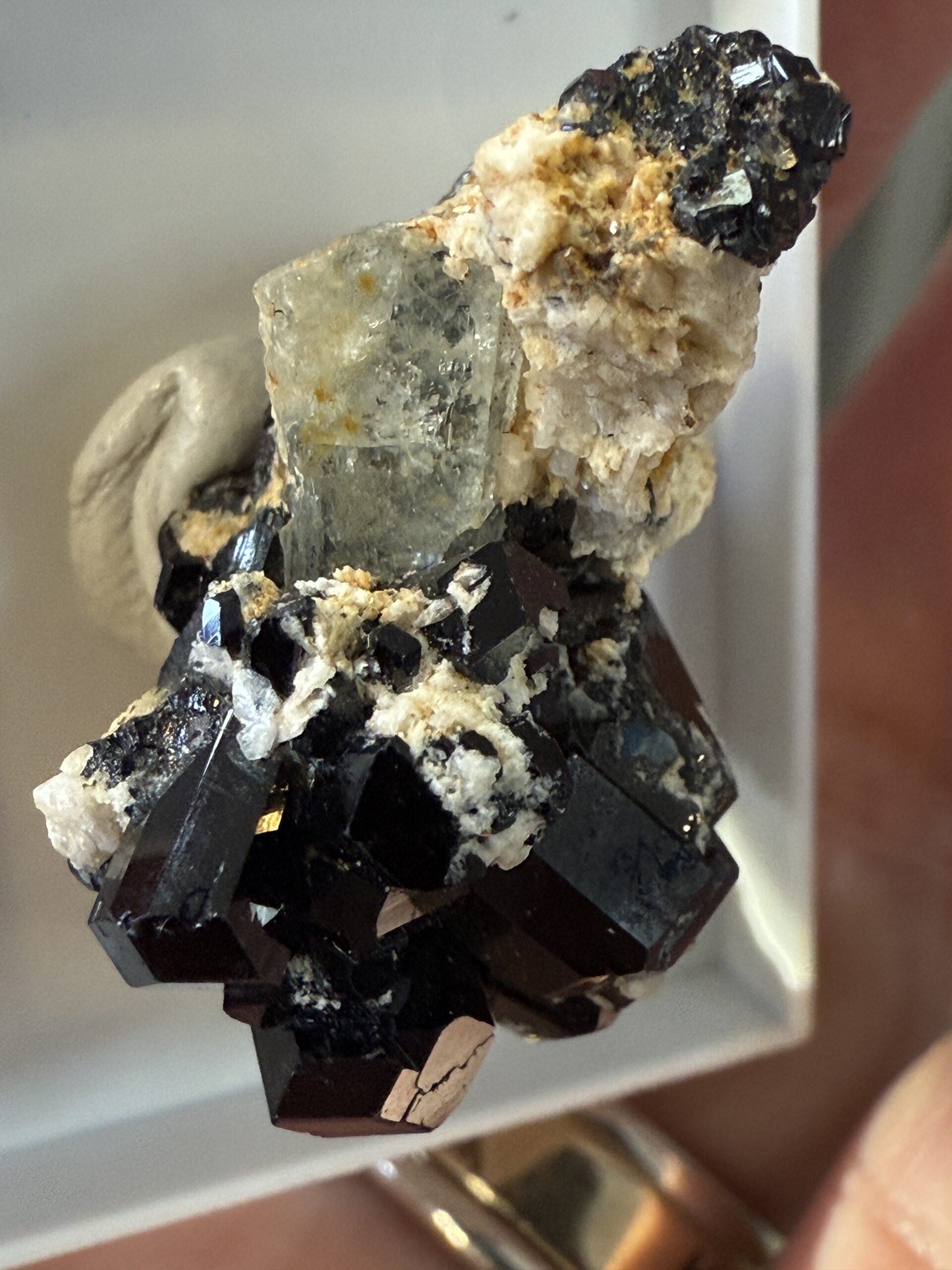 Namibian Black Tourmaline with Aquamarine - The Crystal Cave Scotland