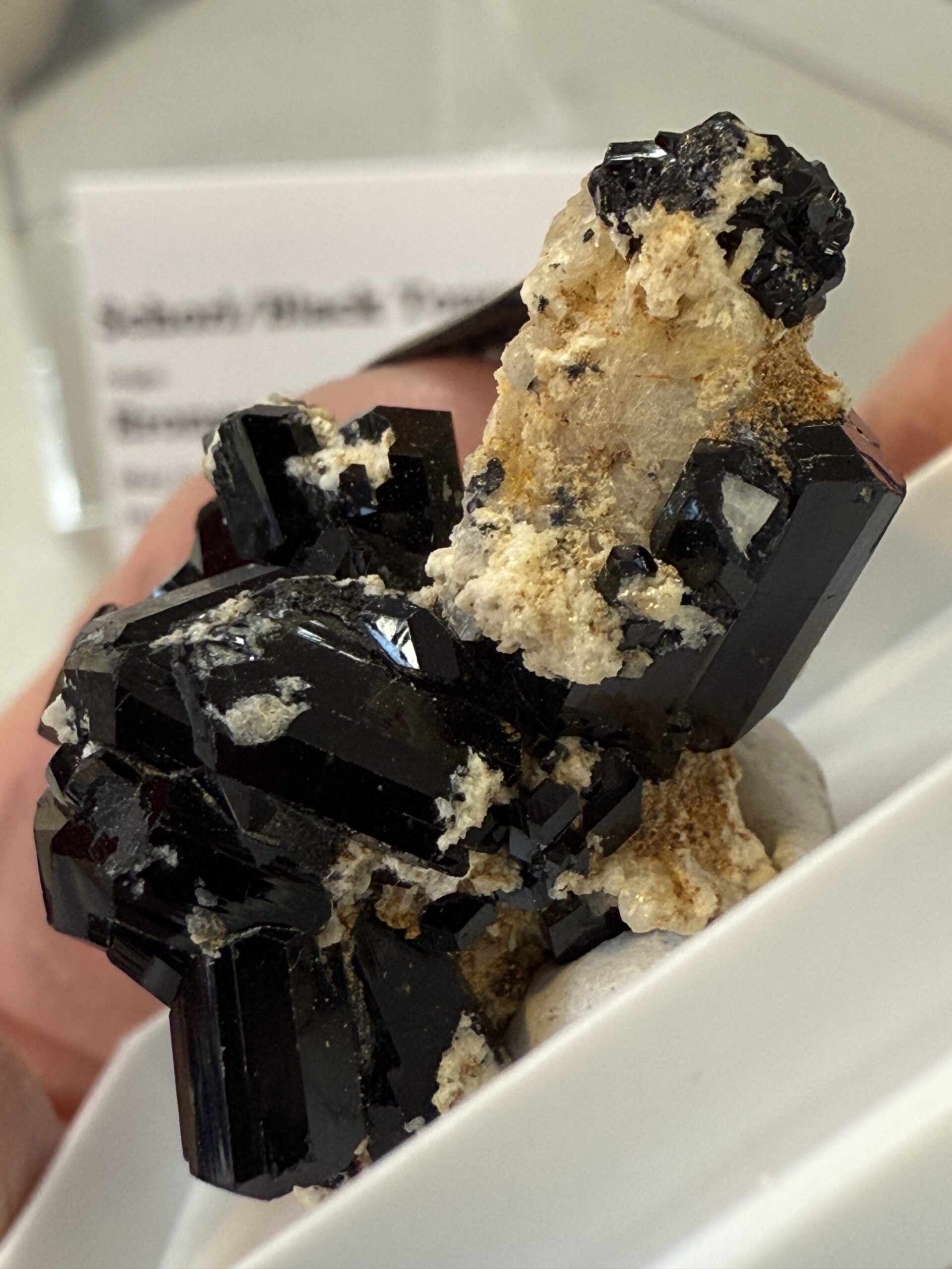 Namibian Black Tourmaline with Aquamarine - The Crystal Cave Scotland